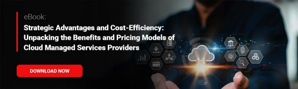 Role and Scope of Work of Cloud MSPs